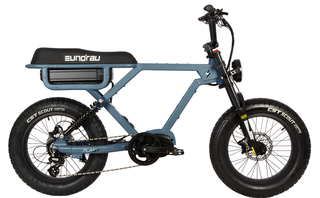 The flash bike store